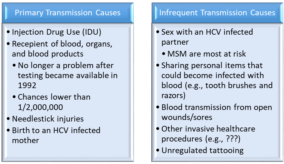 Infectious Disease: Hepatitis C – Center for Community Collaboration - UMBC